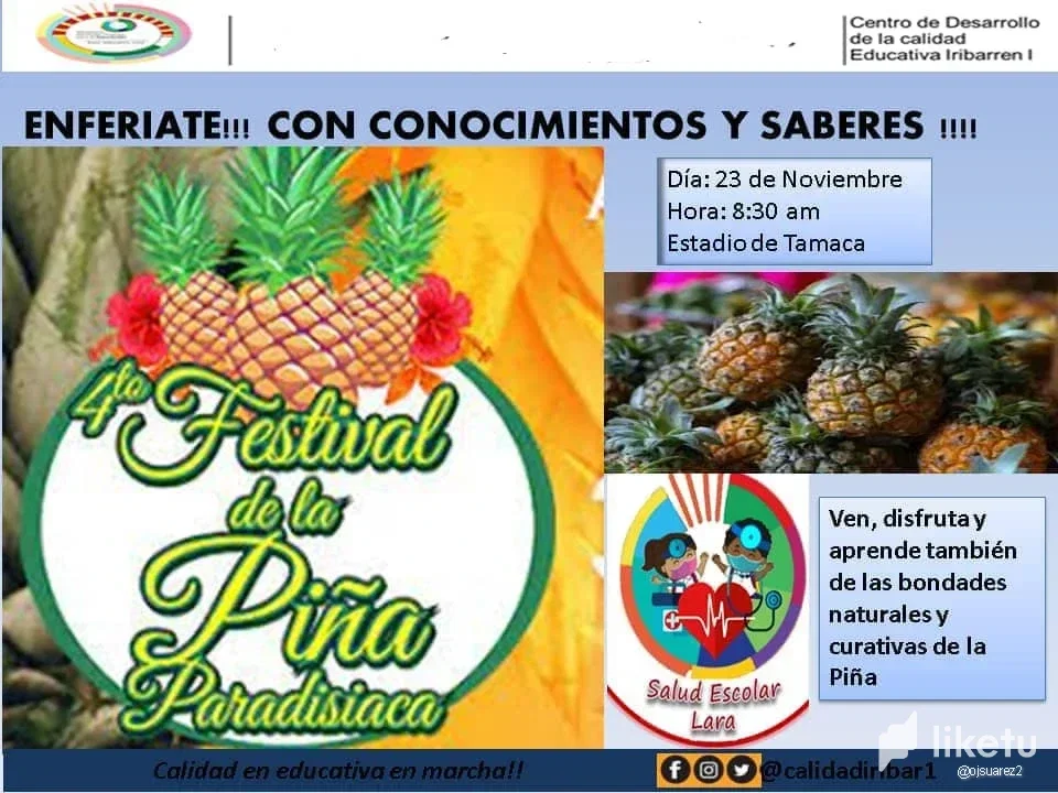 4ta Expo feria de la Piña // 4th Pineapple Expo Fair